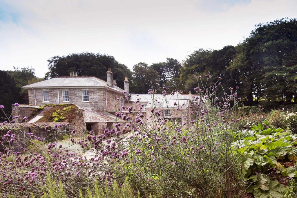 Withiel continues to blossom – Lemon Street Gallery